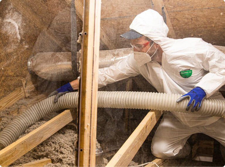 Koala Insulation - Installation and Assessment Experts