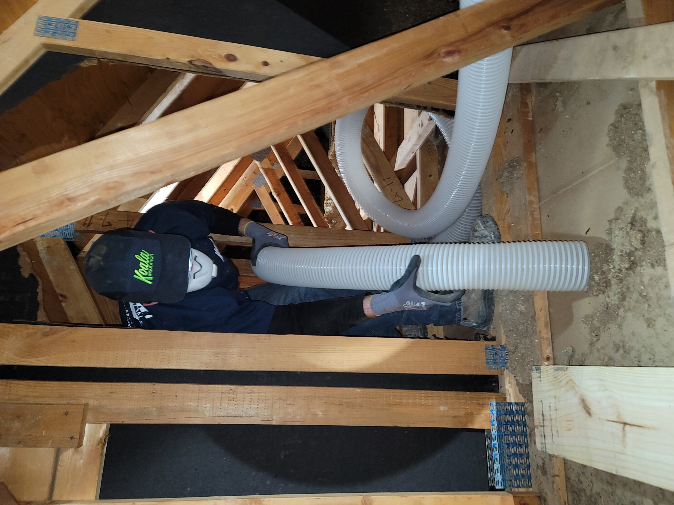 Why Reinsulate Your Central Jersey Home - Koala Insulation