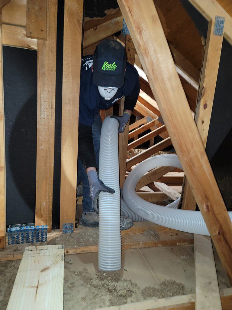 Professional Insulation Removal Services